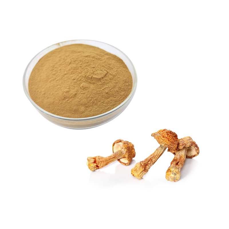 Agaricus Blazei Murrill Extract | Shanghai YOH Bio-tech Co., Ltd Pure ...