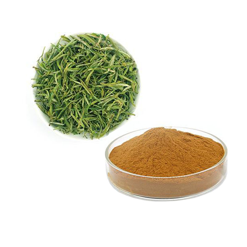 Green Tea Extract L-Theanine EGCG Tea Polyphenols | Shanghai YOH Bio ...